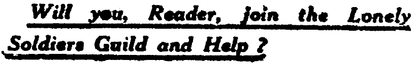 The Journal of the Lonely Soldier